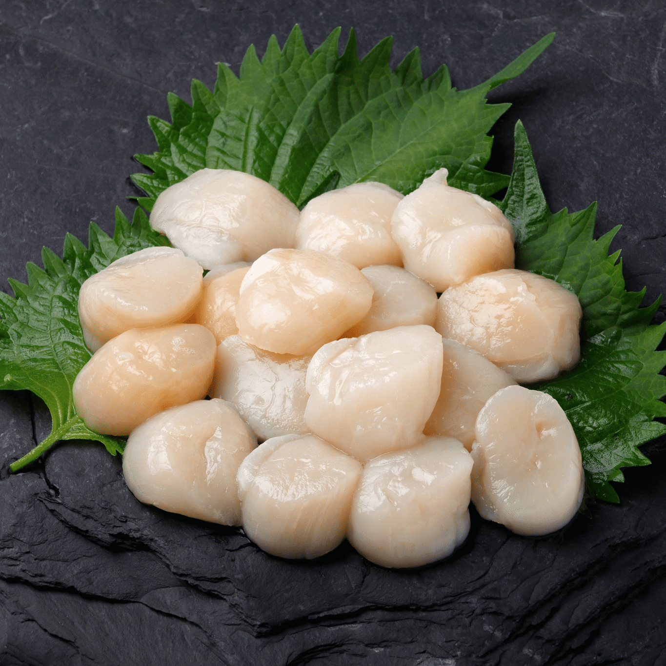 SCALLOPS - USA, IQF (1 lb.)